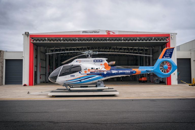 The Future - Microflite